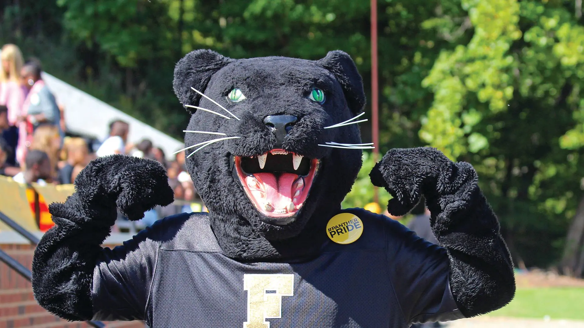 Black & Gold Admitted Student Day - Ferrum College