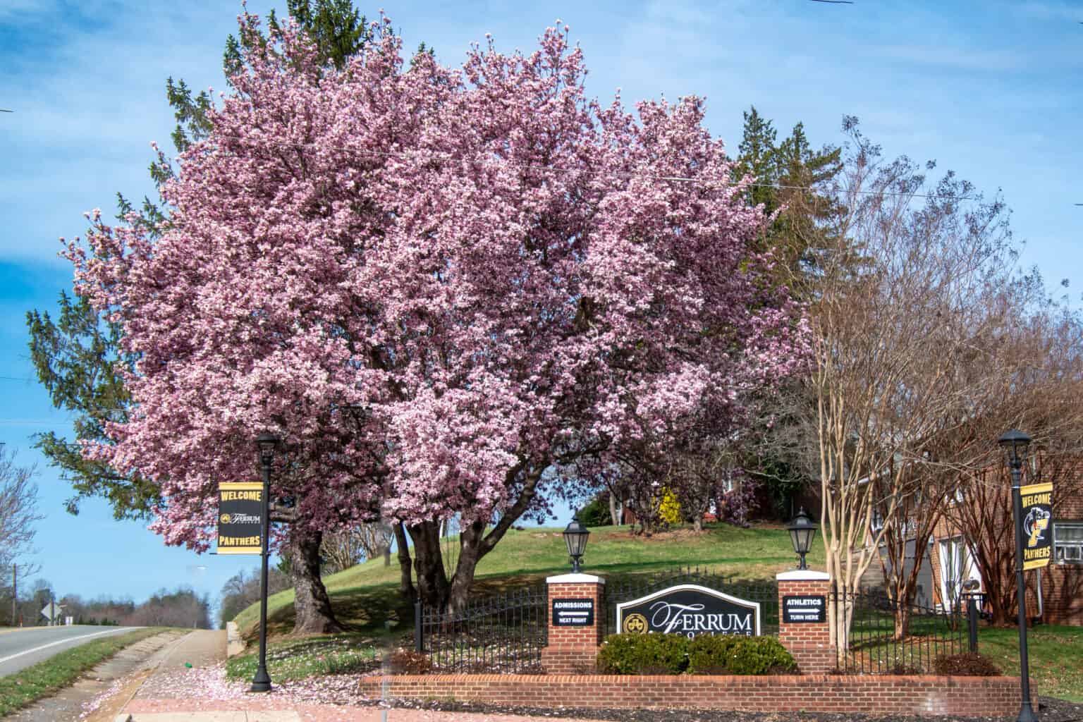 Ferrum College Included in Feature on 12 Most Beautiful Campuses in ...
